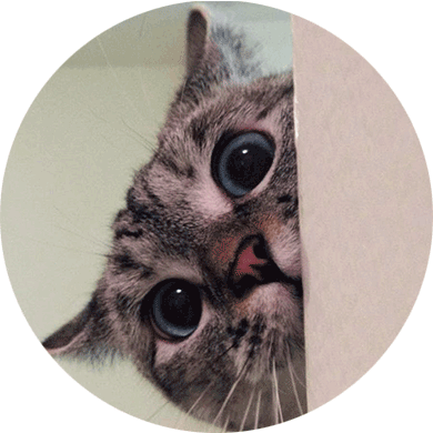 Nala Cat Official Merchandise – Crowdmade