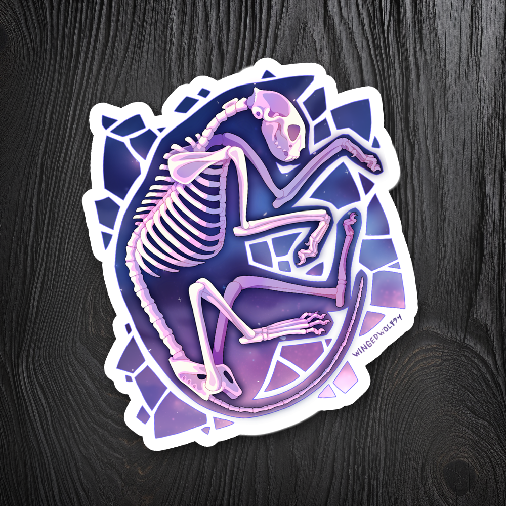 wingedwolf94 - Skeleton Cat Sticker – Crowdmade
