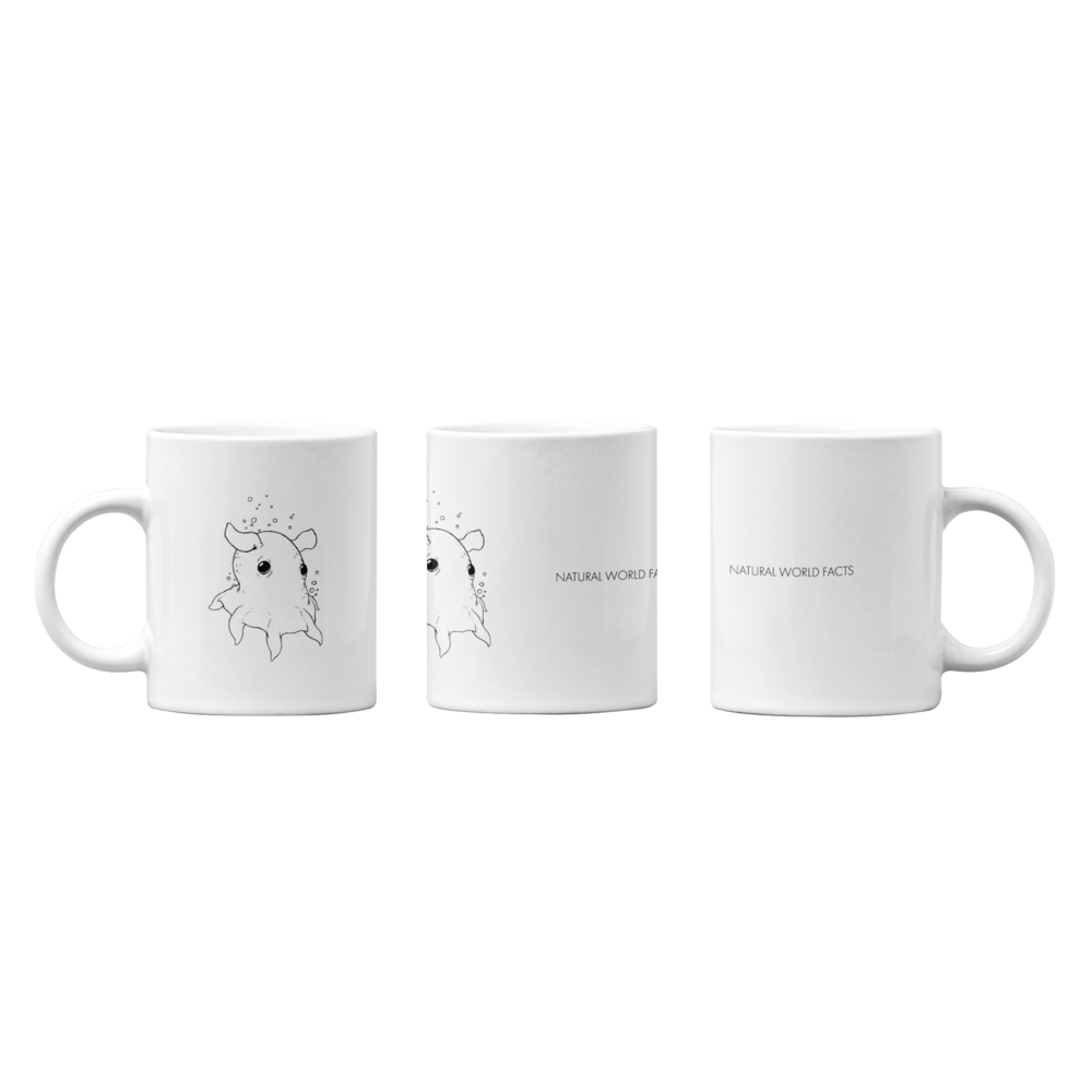 Natural World Facts - Dumbo octopus mug – Crowdmade