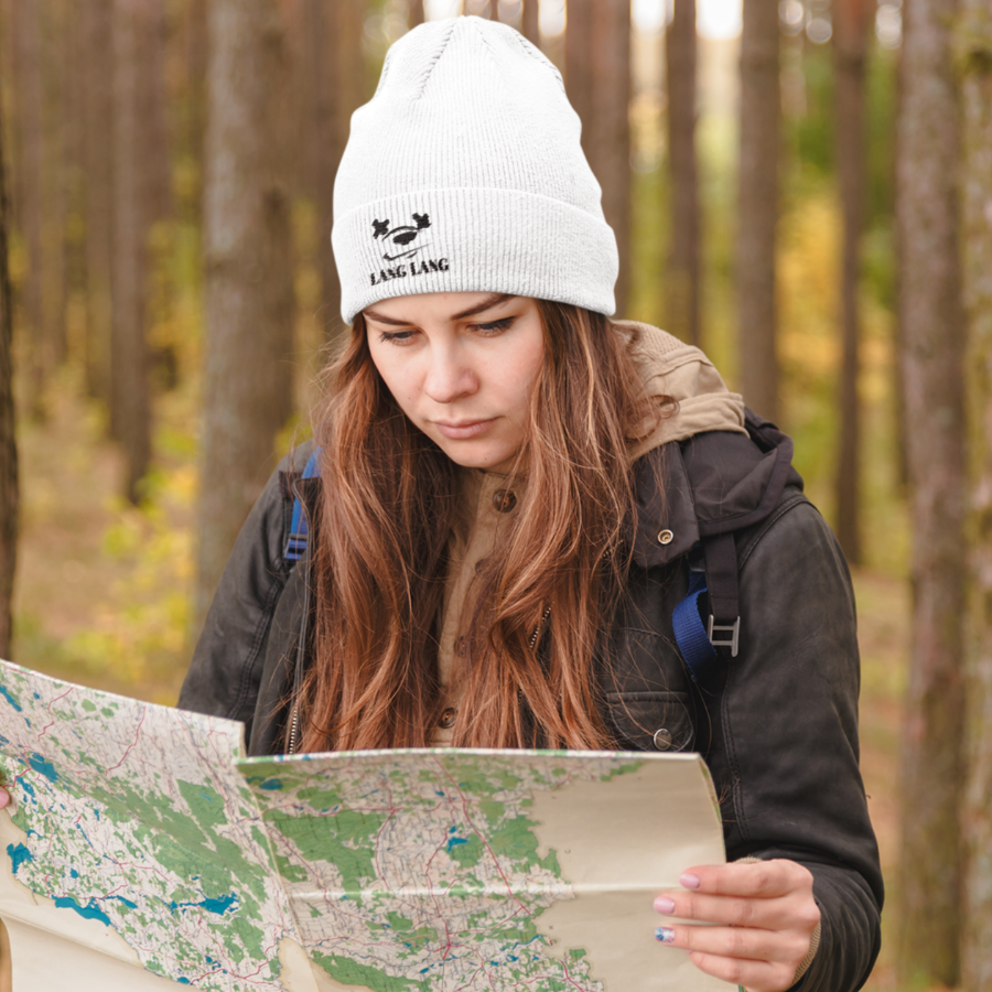 AyChristene - Lang Lang University Embroidered Beanie – Crowdmade